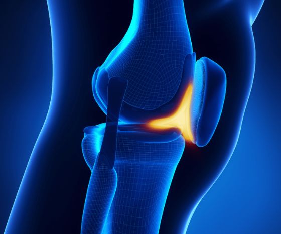 Hoffas Fat Pad Rehab med Claire Robertson | Podcast Episode 03