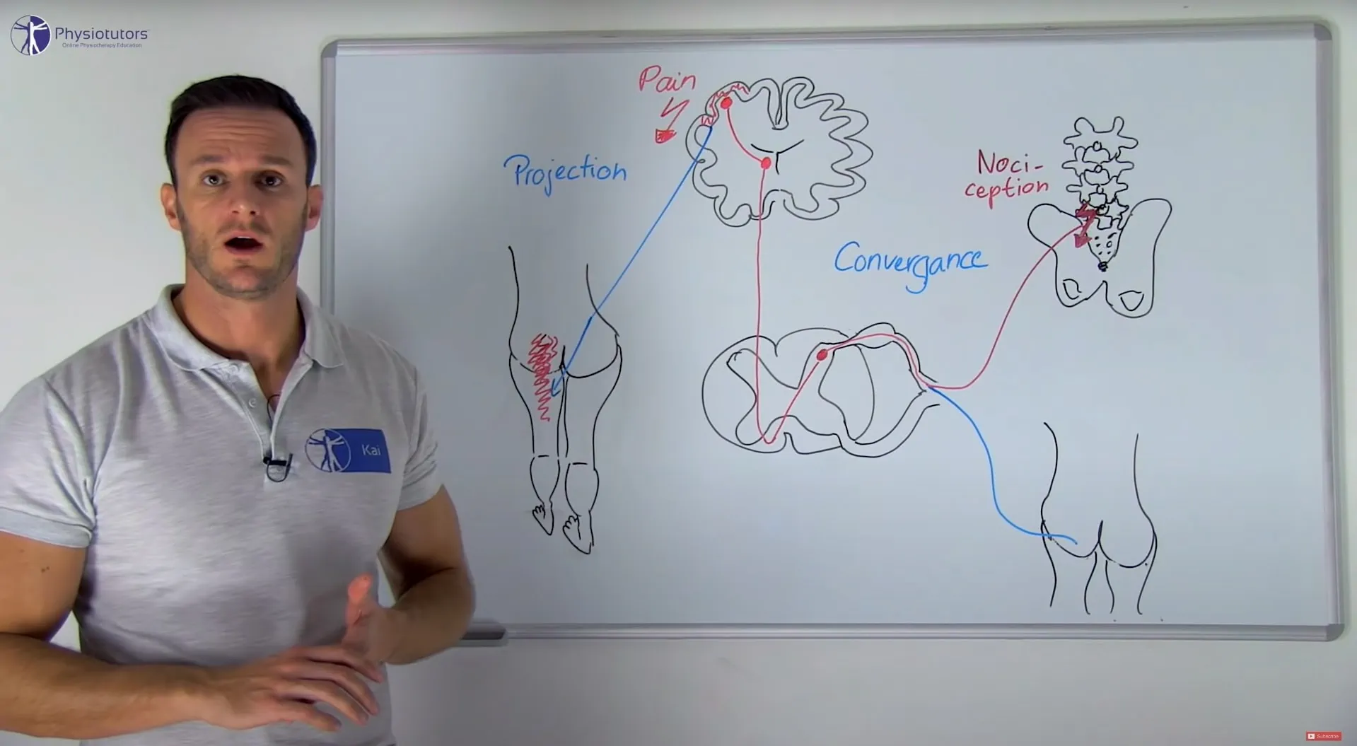 Henvist smerte forklaret | Somatisk & visceral smerte neurofysiologi