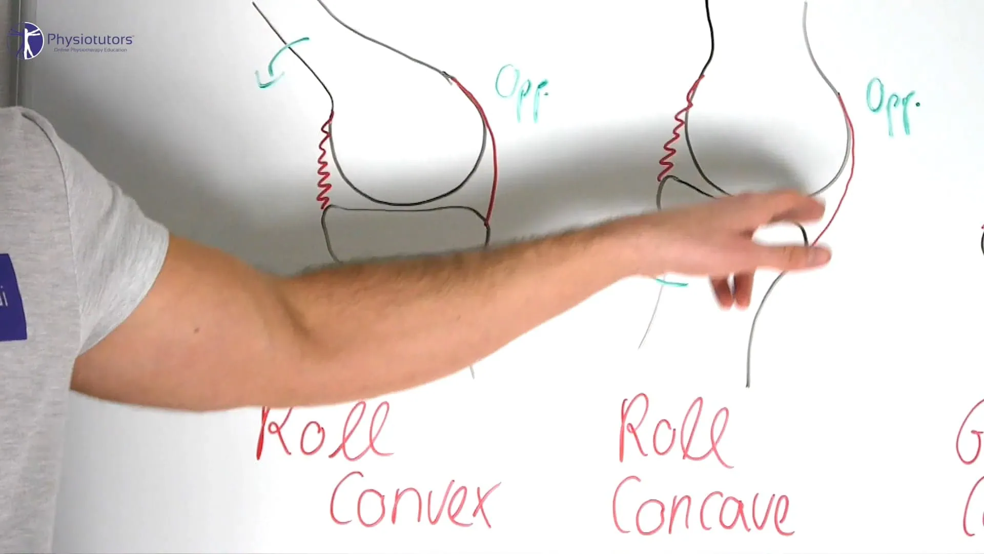 Regla cóncava-convexa de Kaltenborn - Physiotutors