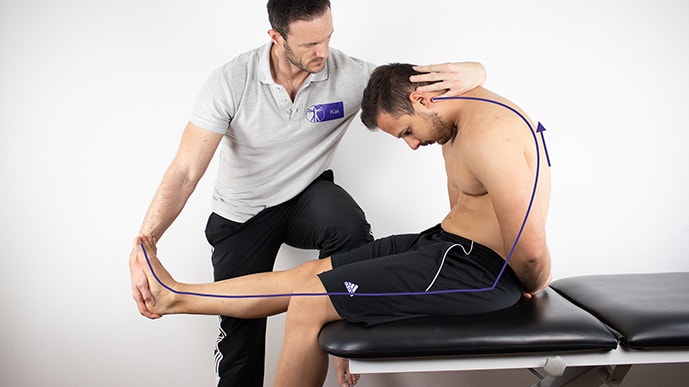 SLR Sizer | Diagnostic différentiel neurodynamique