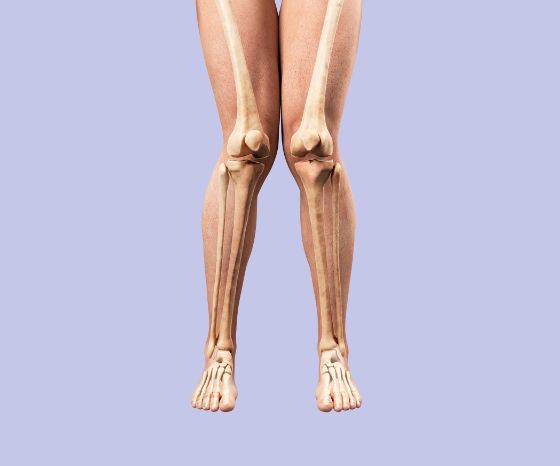 Efficacité des exercices du bassin sur le genou en valgus - Physiotutors