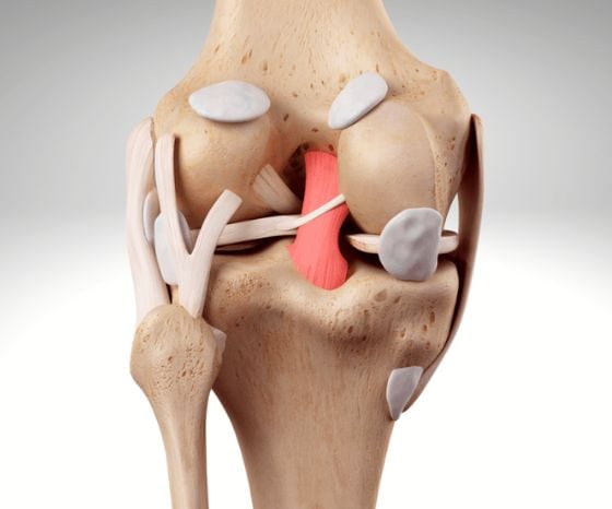 Podcast: Rehabilitasi ACL: dari cedera hingga performa - Bart Dingenen