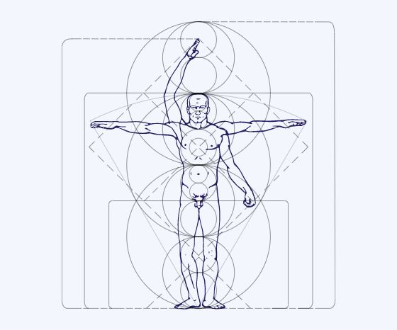 Piani e assi dell'anatomia spiegati | Tassonomia dell'anatomia di base