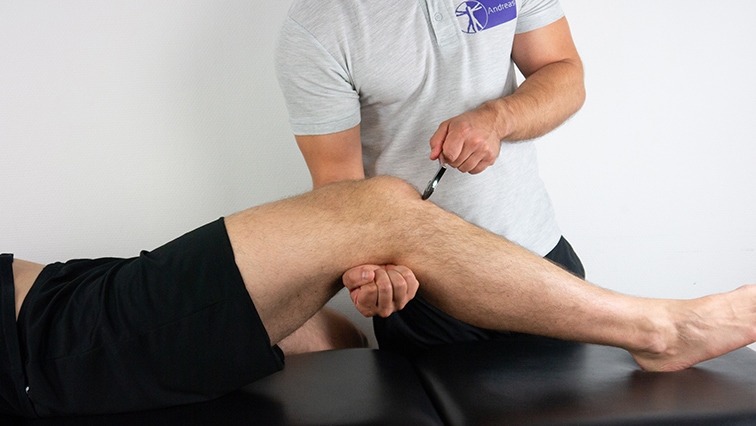 L3+L4: Riflesso del tendine rotuleo - Physiotutor