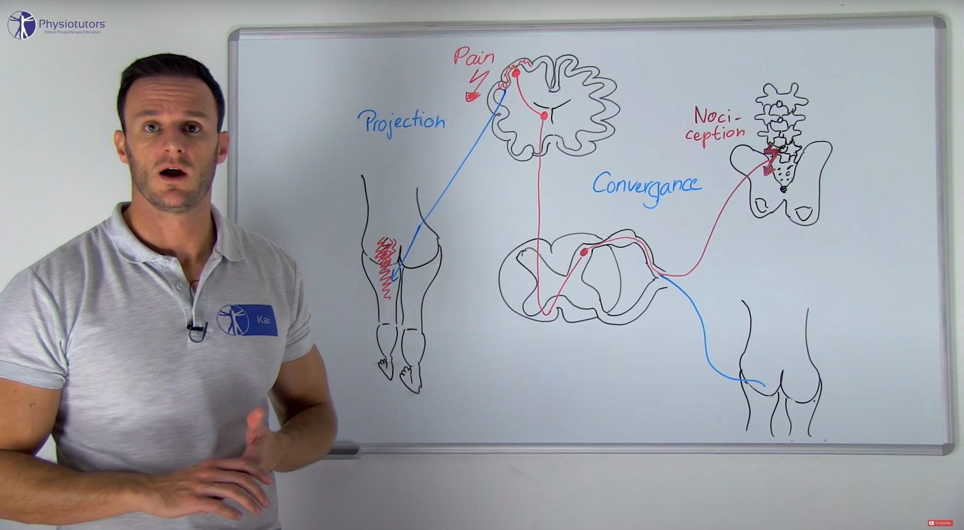 Referred Pain Explained | Somatic&Visceral Pain Neurophysiology