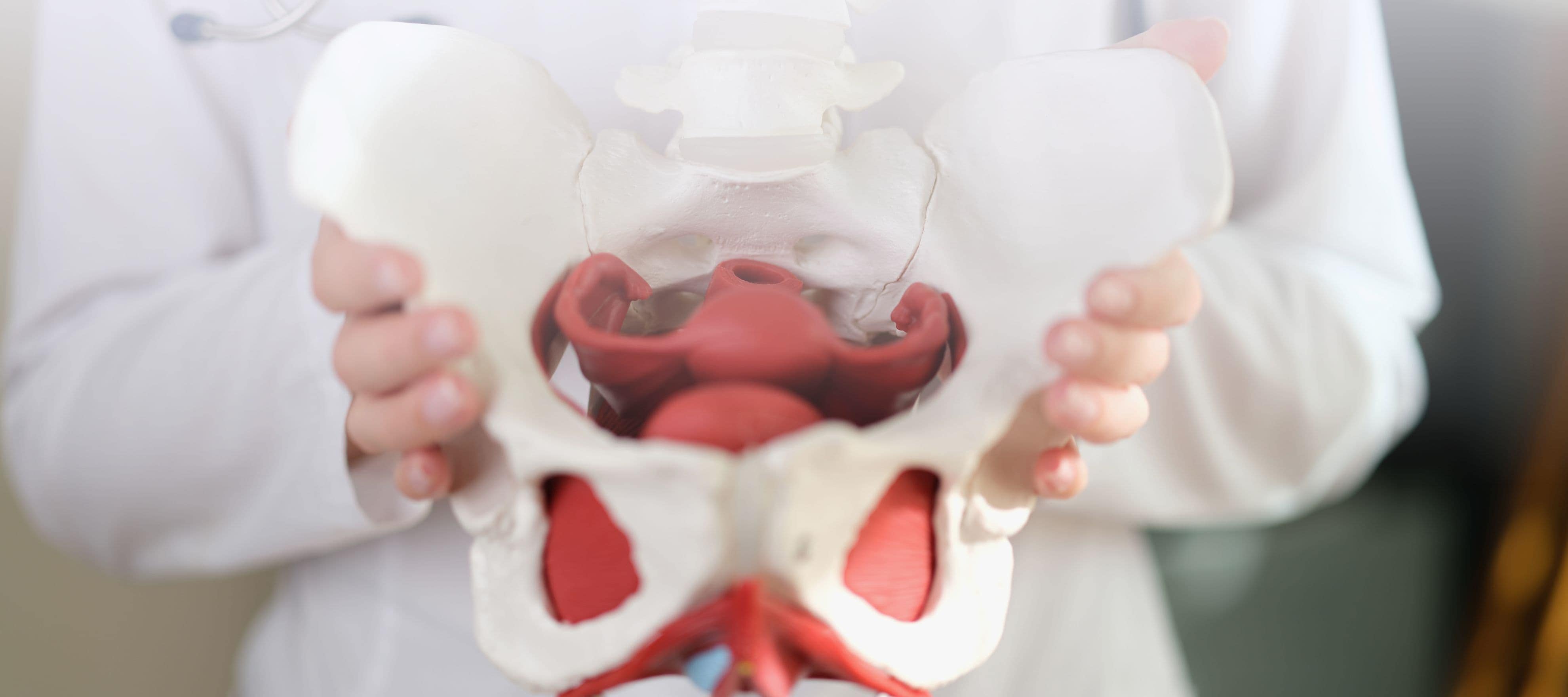 A saúde pélvica é da conta de todos | Masterclass por Sarah Haag