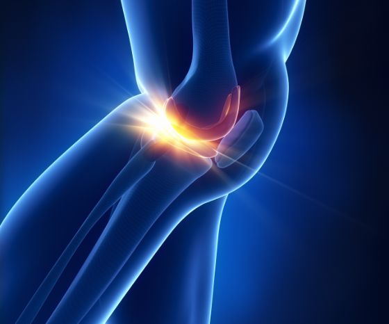 การสร้าง ACL ใหม่ตั้งแต่ระยะแรกจะช่วยปกป้องหมอนรองกระดูกได้หรือไม่?