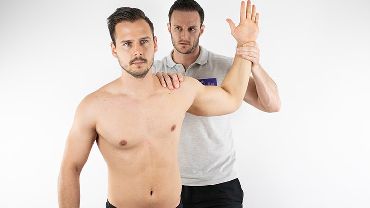 3'lü Muayene | Biseps-Labrum Kompleksi Muayenesi