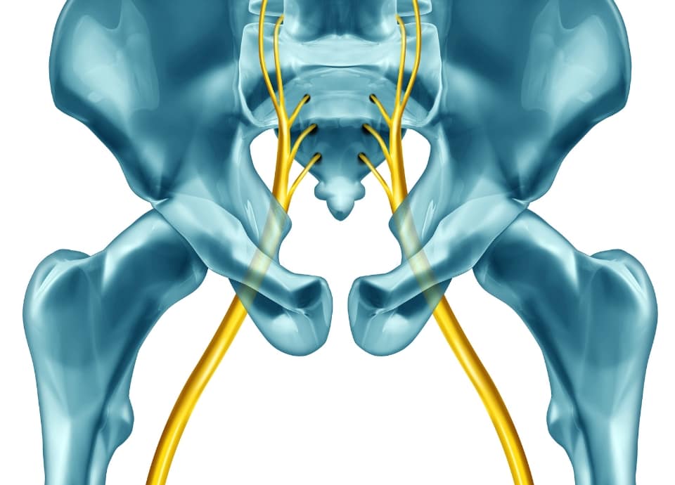 Lumbar Radicular Syndrome | Adam Dobson