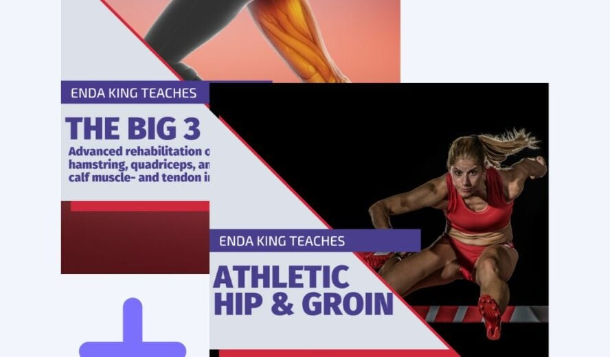 Physiotherapy Courses